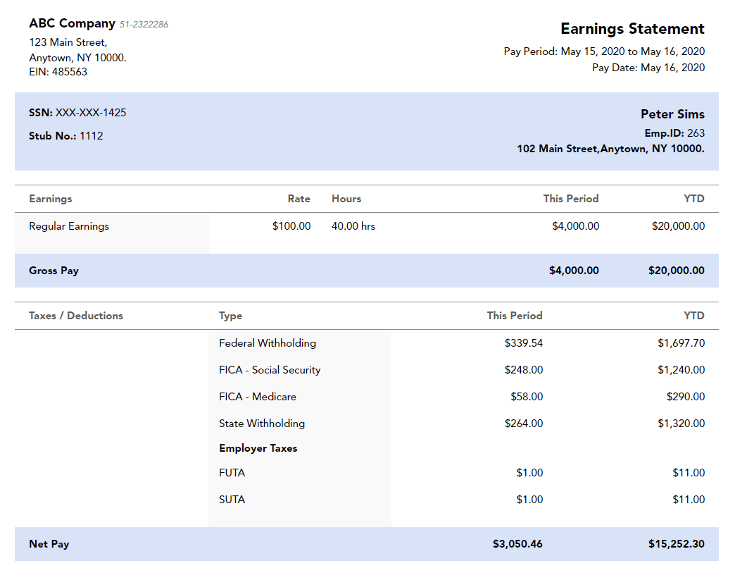 Free Pay Stub Template Word